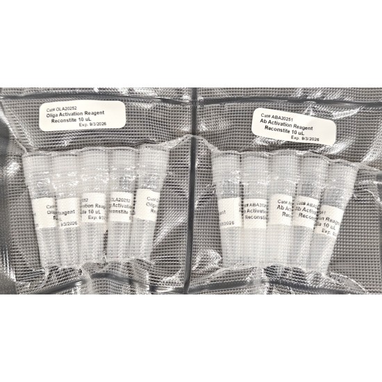 AmeriDx Oligo Antibody Conjugation Kit
