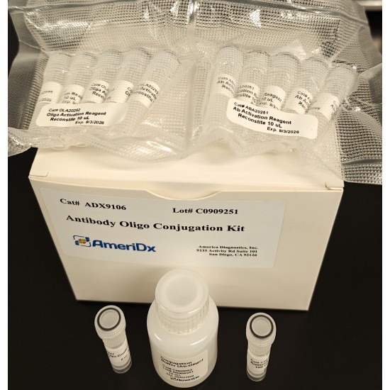 AmeriDx Oligo Antibody Conjugation Kit