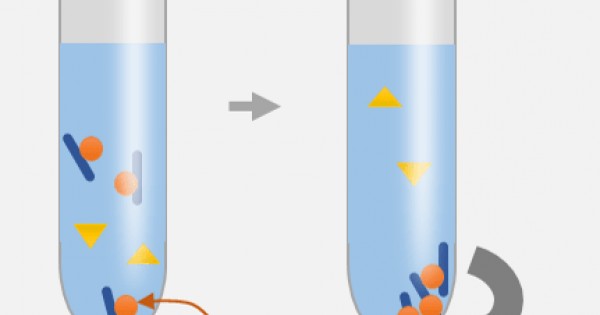 Fast Midiprep Plasmid DNA Purification Kit