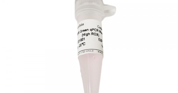 2 × SYBR Green qPCR Master Mix (High ROX) 1mL