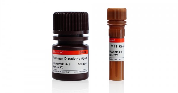 MTT Cell Proliferation and Cytotoxicity Assay Kit